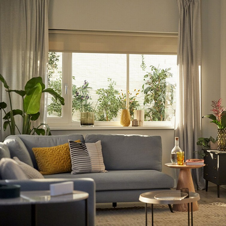 Discover our Somfy solutions and product ranges